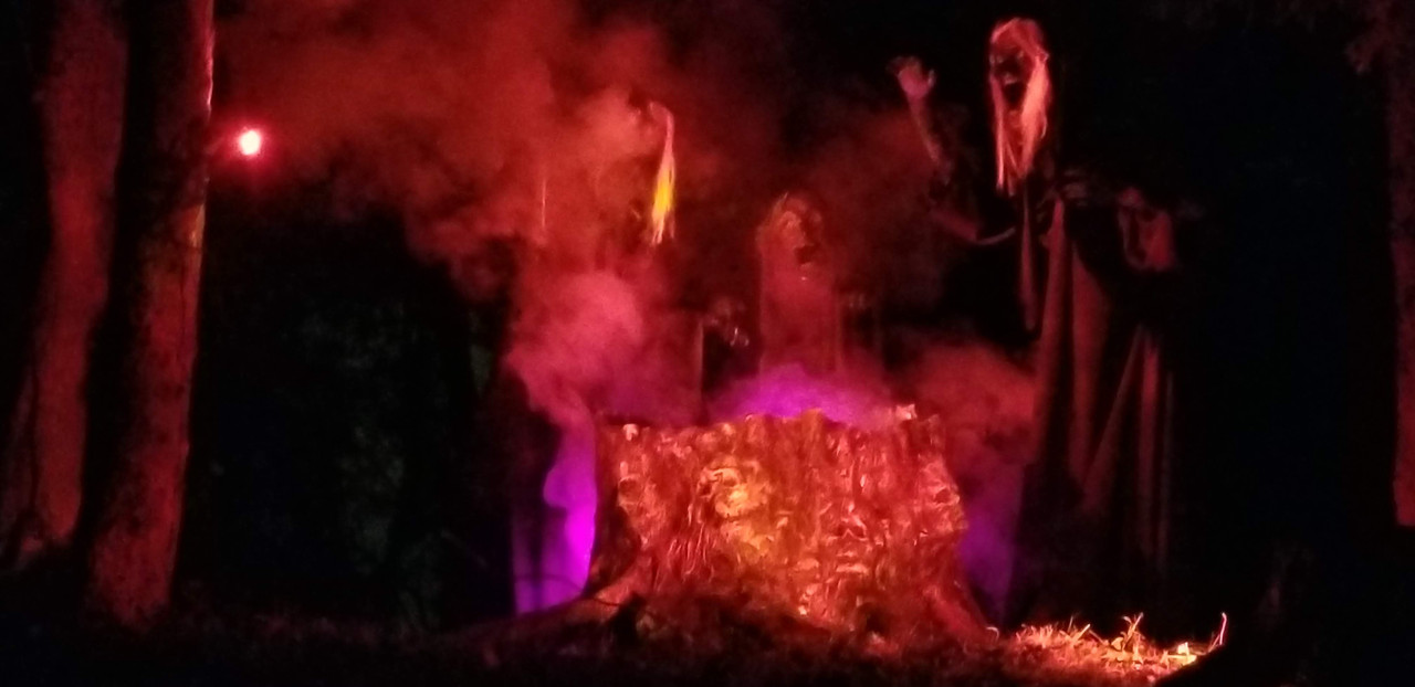 Cauldron Scenes | Halloween Forum