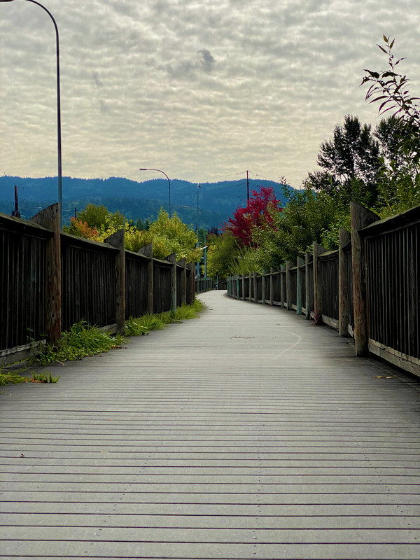 IMG 0239 — Postimages