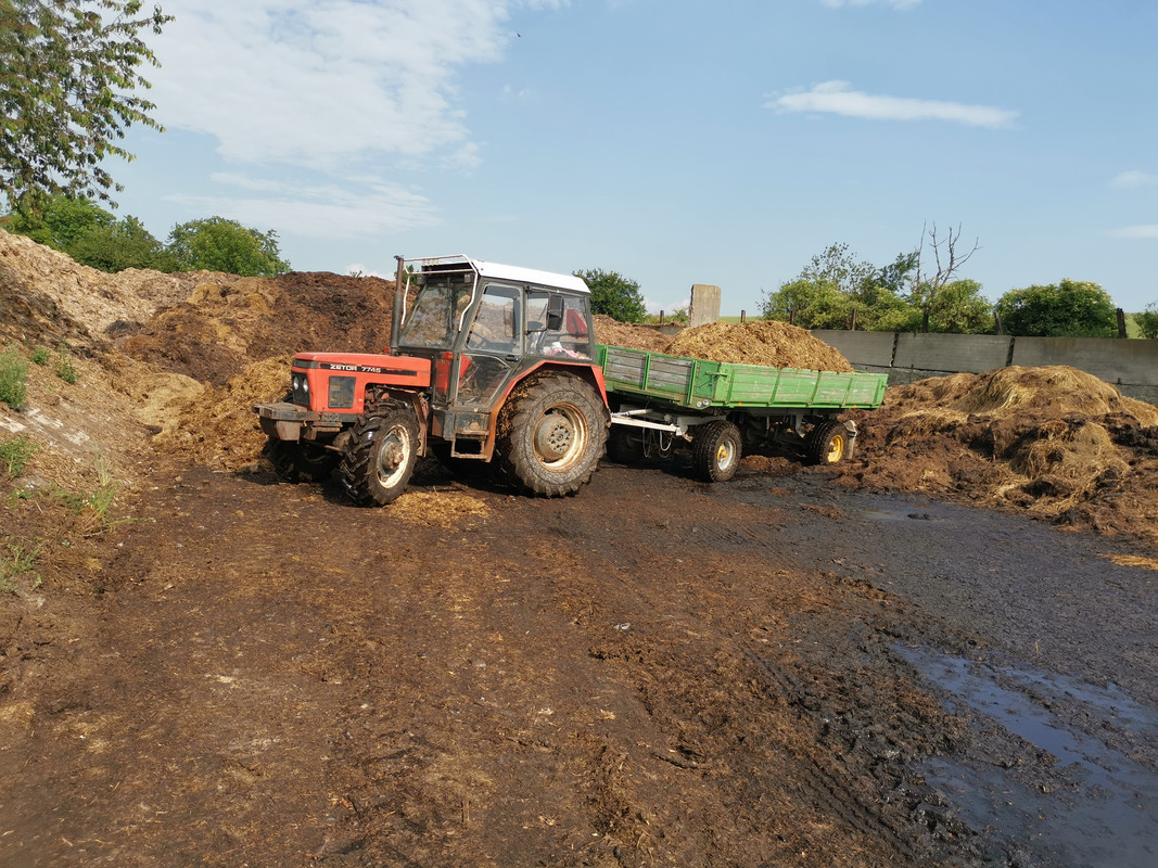 IMG 20230619 170531 — Postimages