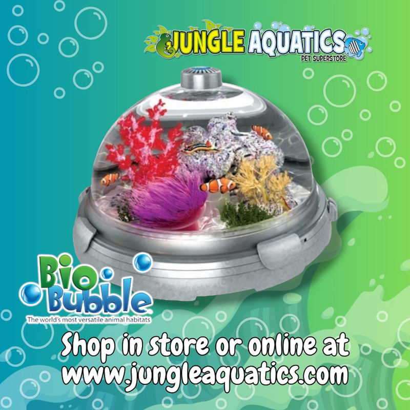 360 Degree Bio Bubble Aquarium | Tropical Aquariums SA