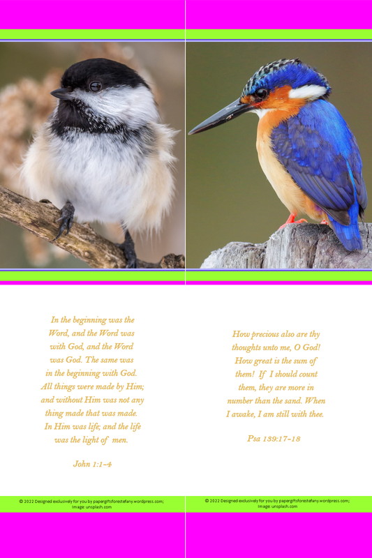 PGFE Bird Bookmark2 4x6 — Postimages