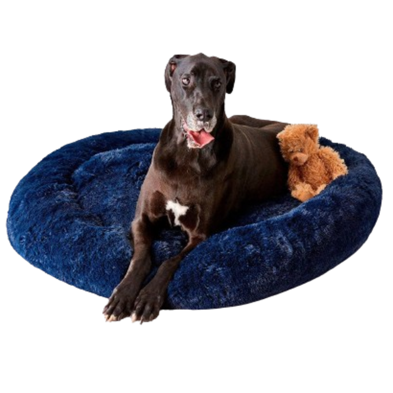 CAMA XXXL PETS removebg preview (1) (1) — Postimages