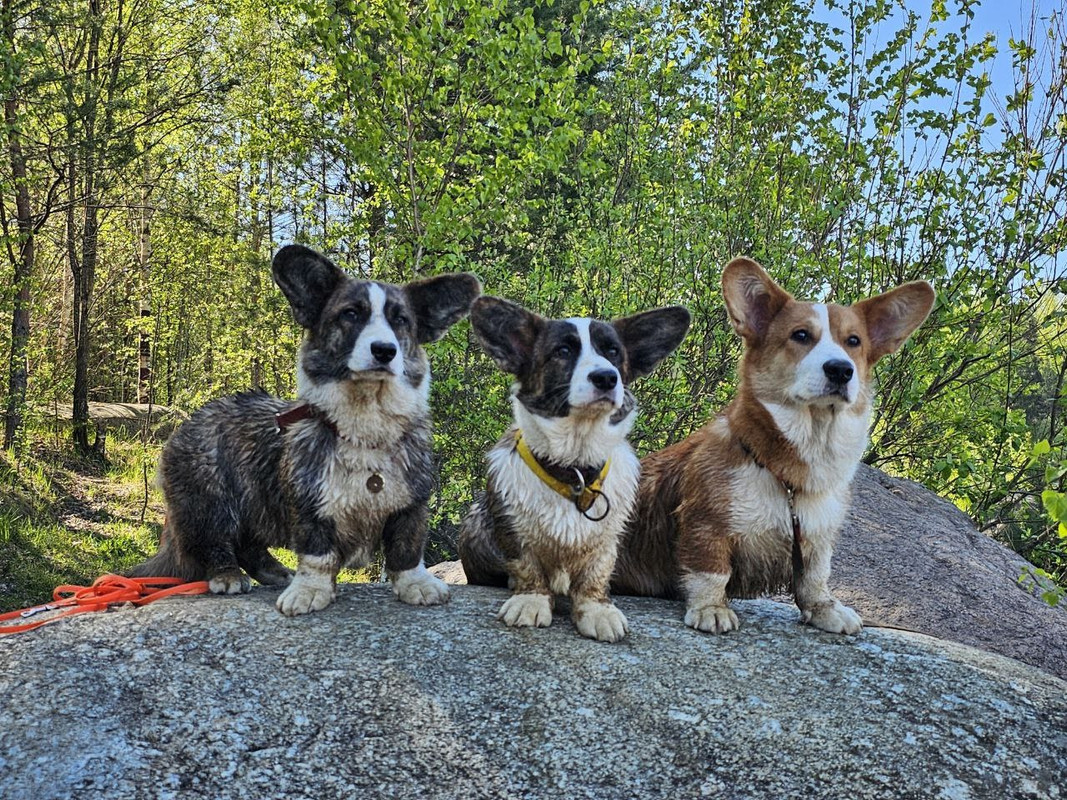 IMG 20240518 155050 212 — Postimages