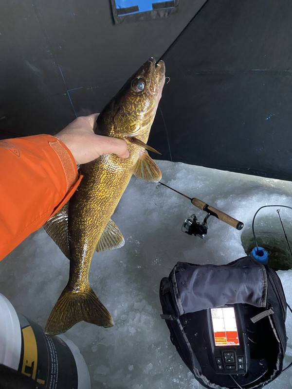 B264 FC2 F 3921 4 EBD 8 A67 2 DB1 F3915376 — Postimages