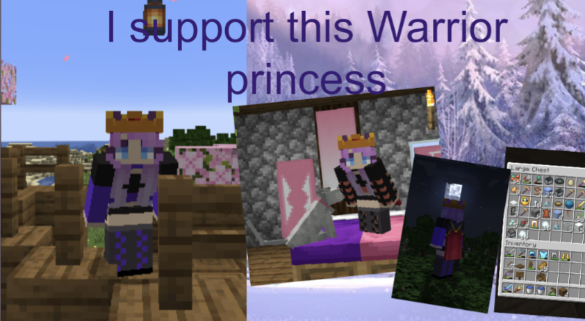 GalaxyCat24 on Planet Minecraft