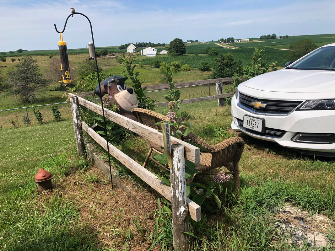 Bird 3 — Postimages