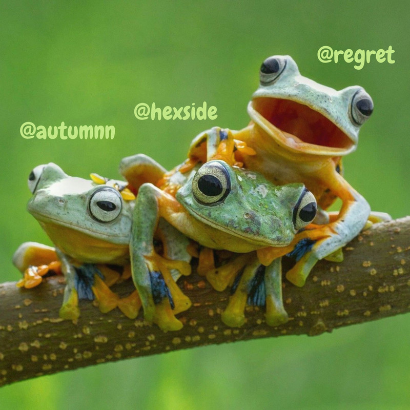 oakley. semiactive | Quotev