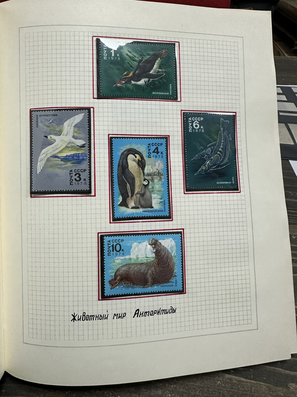 IMG 0367 — Postimages