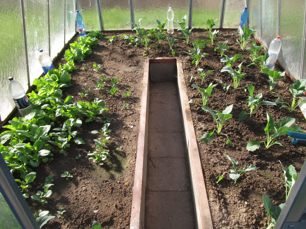 IMG 1998 — Postimages