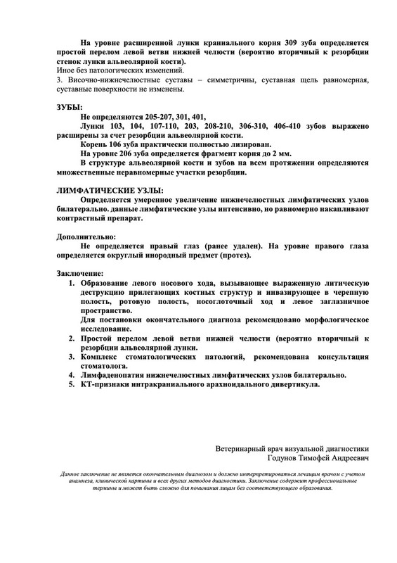 IMG 6301 — Postimages