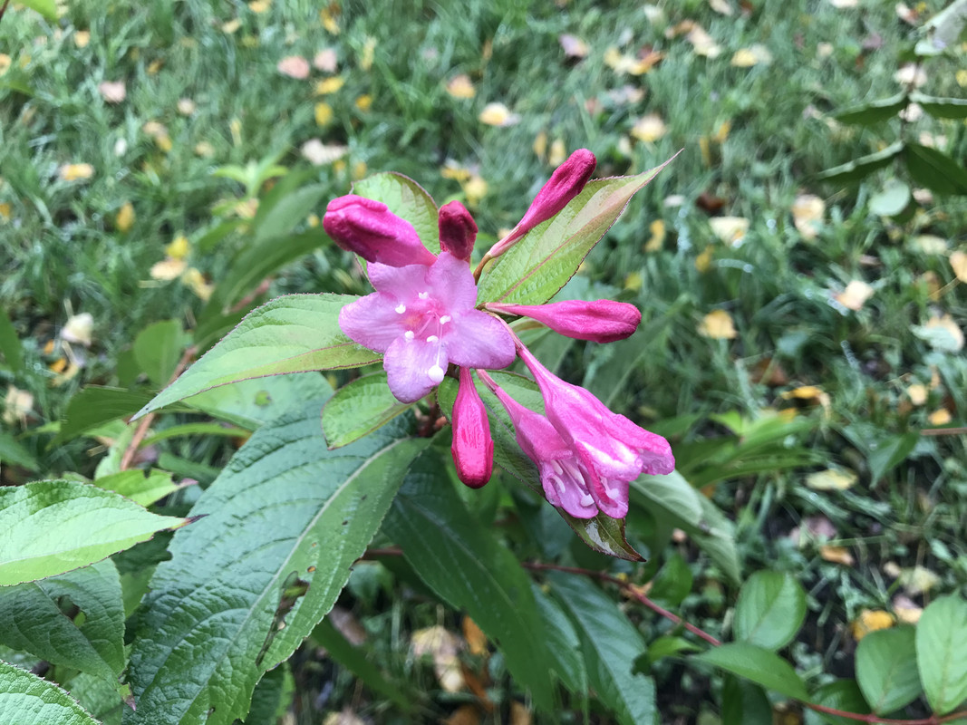 55578 BAD 284 D 419 B AD30 64 A20919 B4 B3 — Postimages