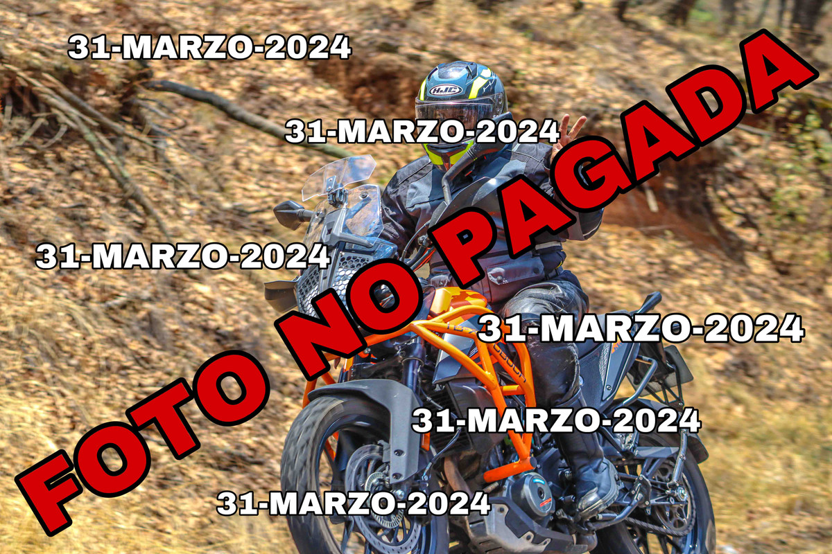 LC 499 — Postimages