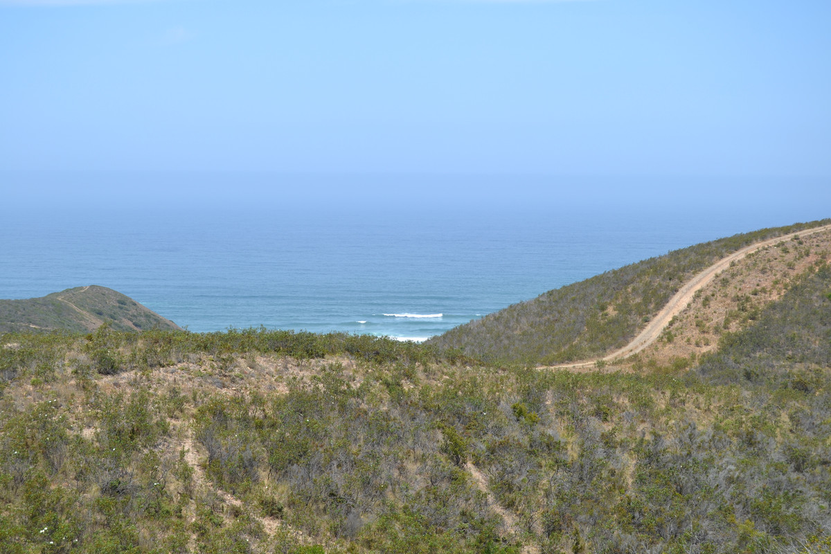 DSC 0136 — Postimages