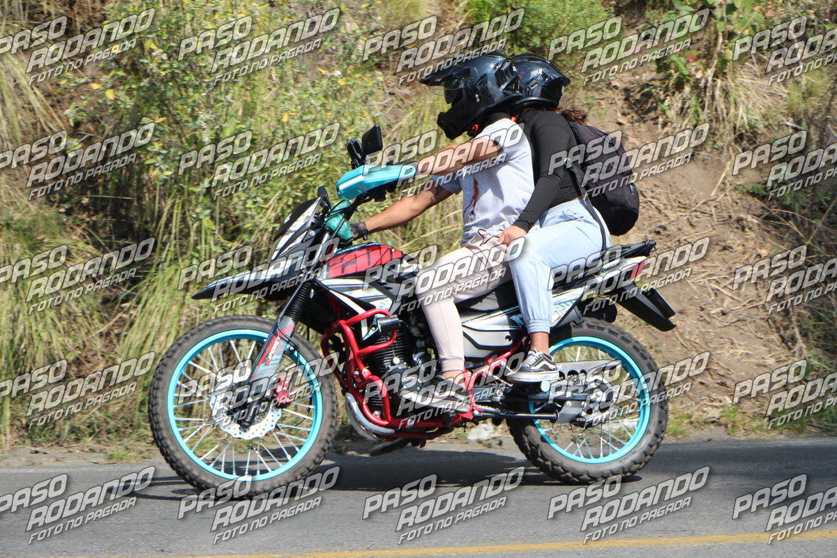 IMG 4696 — Postimages