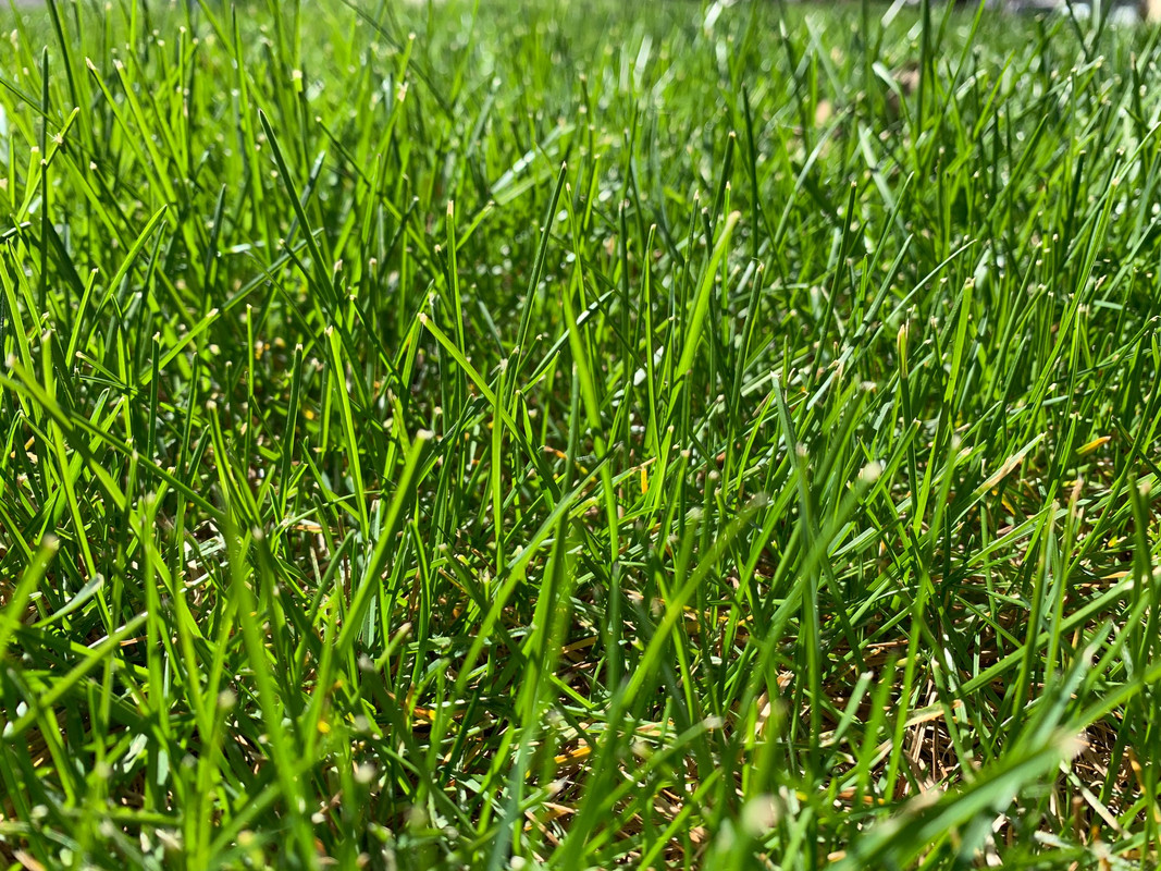 IMG 8286 — Postimages