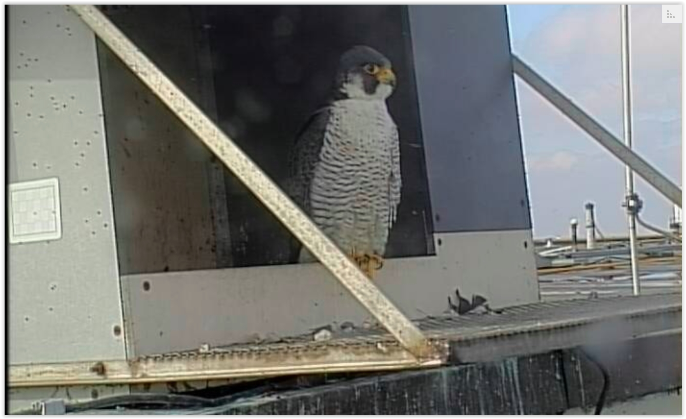 Screen Shot 03 19 23 at 02 39 PM 001 — Postimages