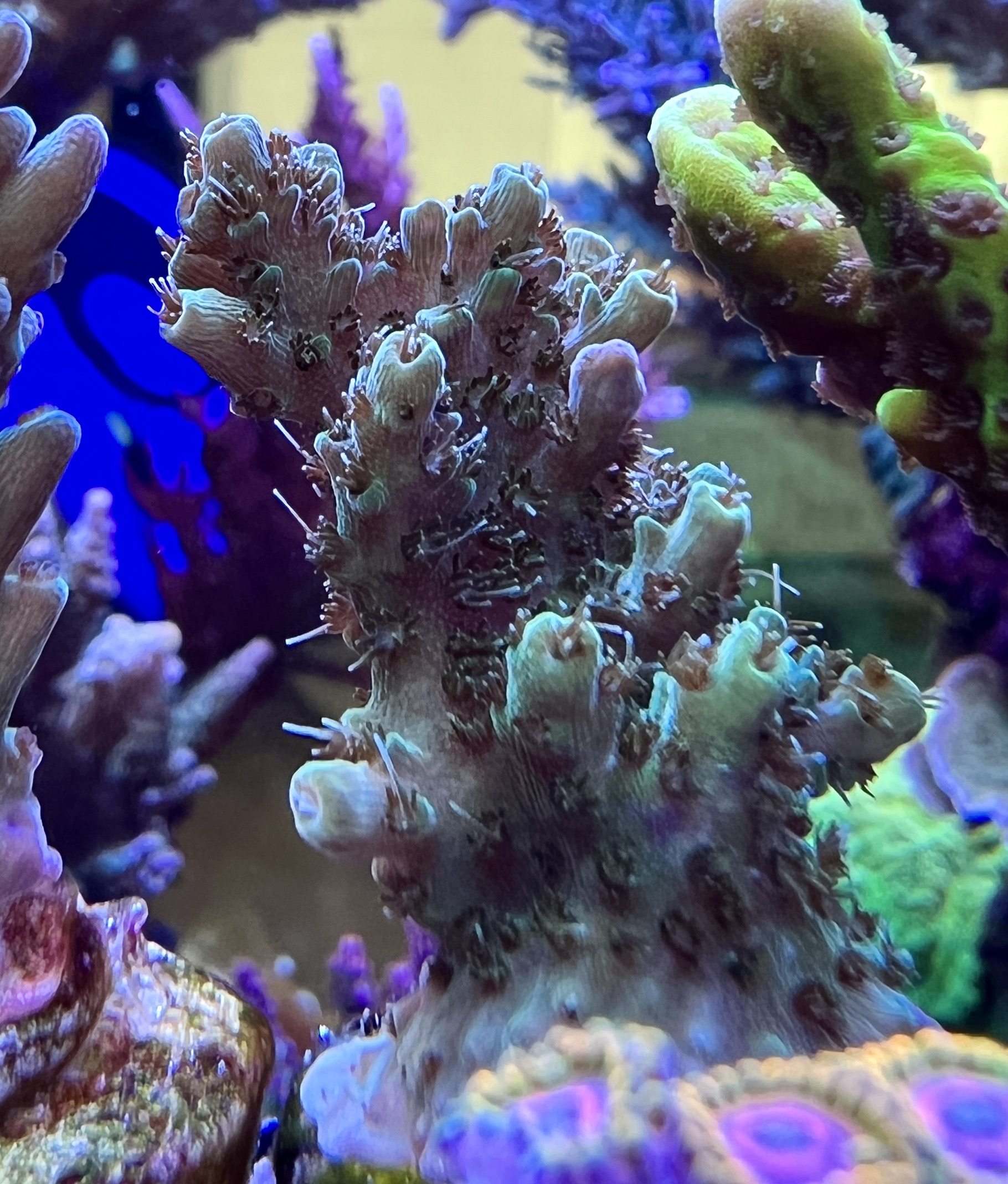 IMG 2131 — Postimages