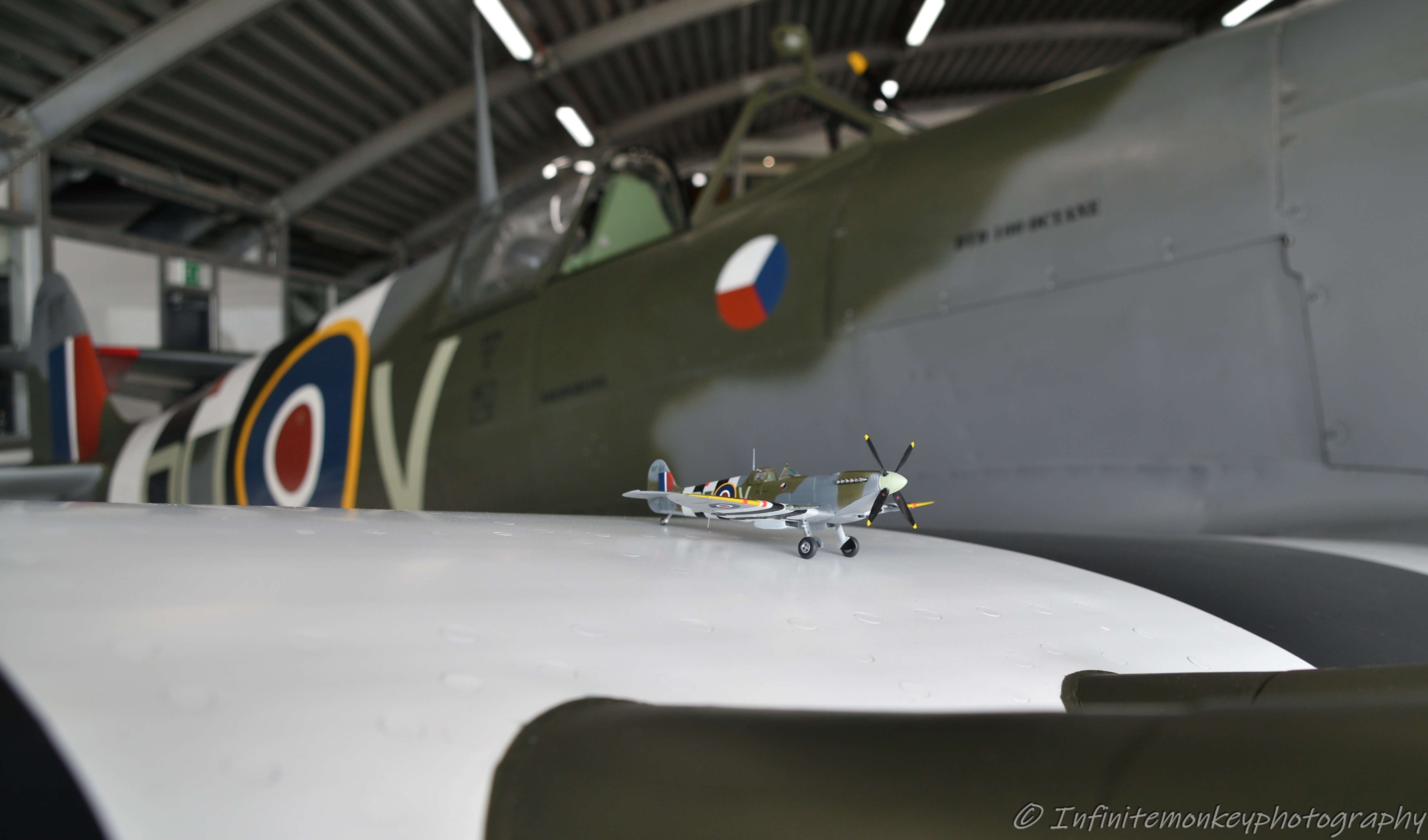 DSC 4597 — Postimages