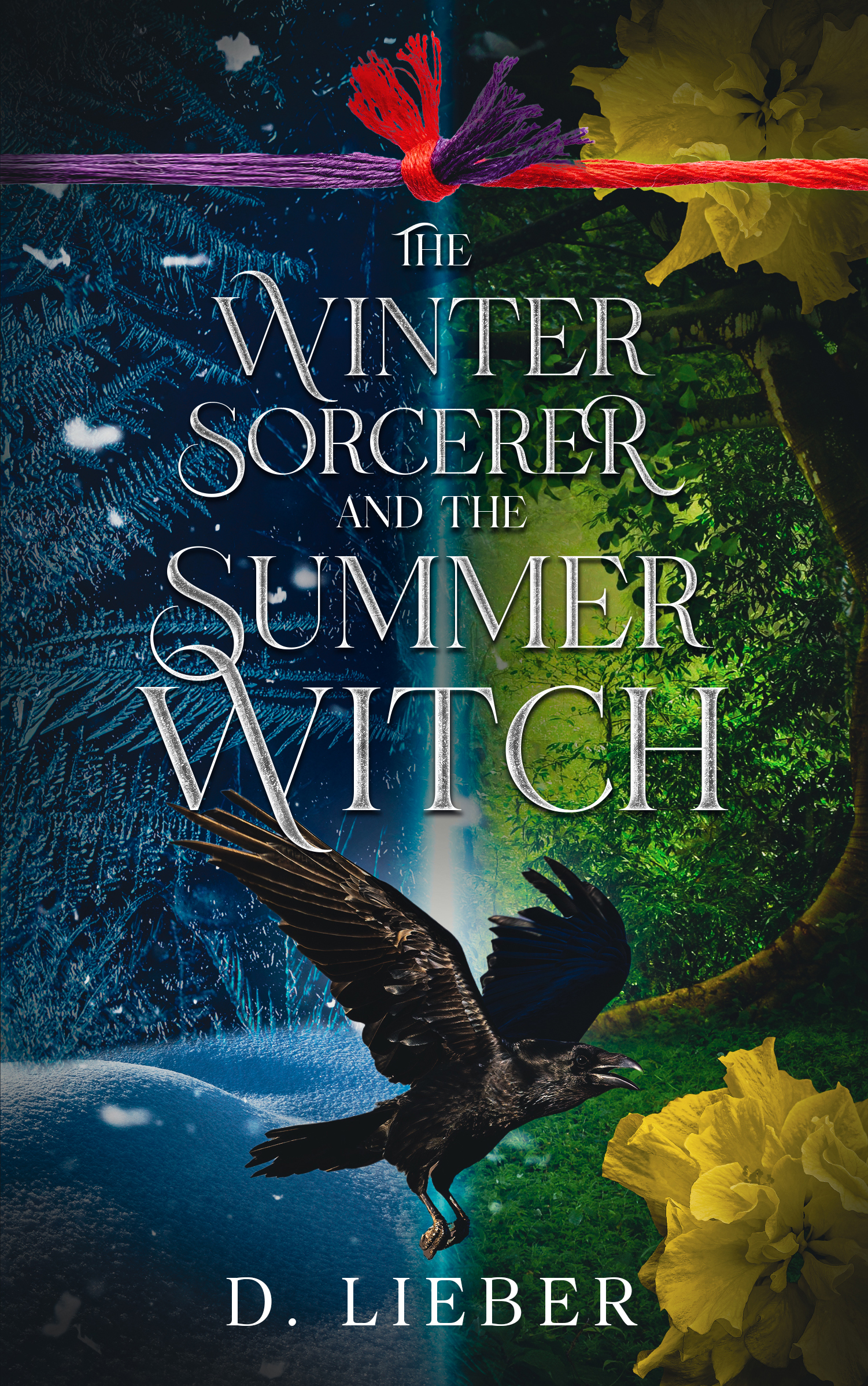The Winter Sorcerer and the Summer Witch Review Tour – The Faerie Review