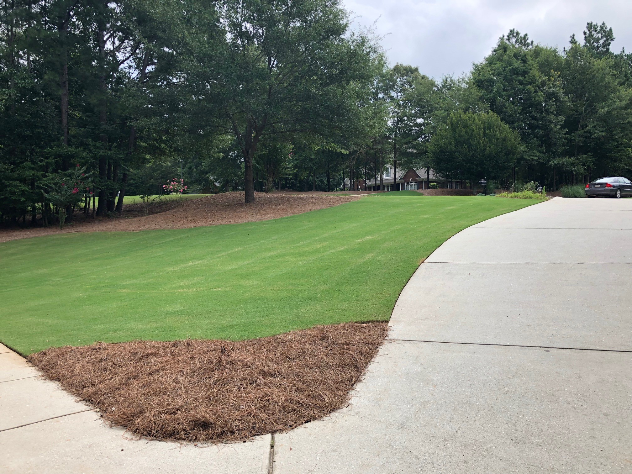 Yard 2 — Postimages