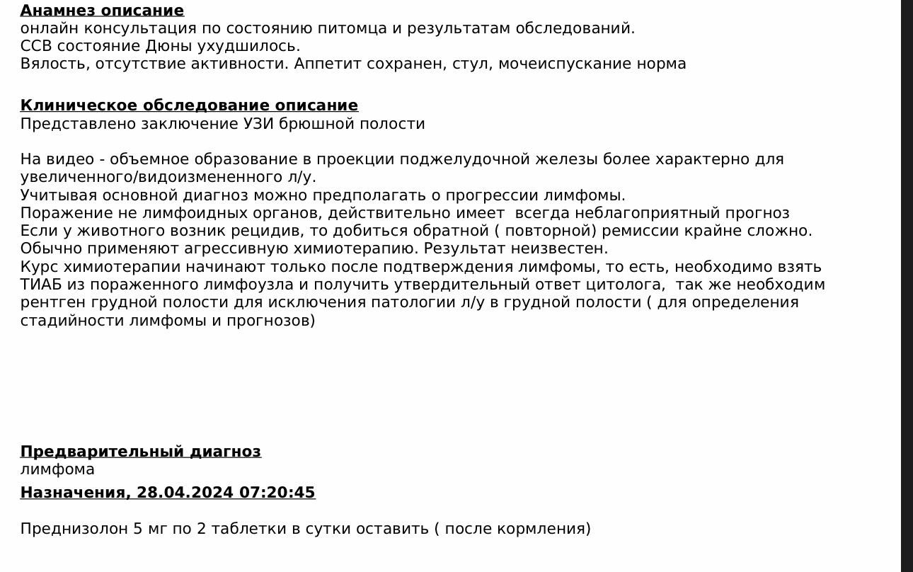 IMG 7604 — Postimages