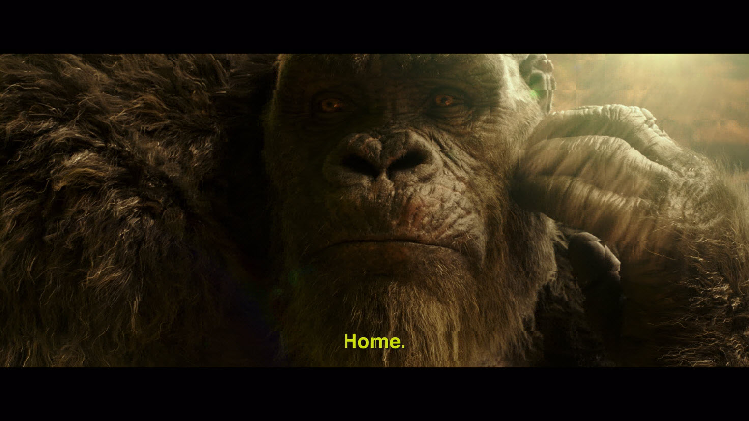 3D Ready — Postimages