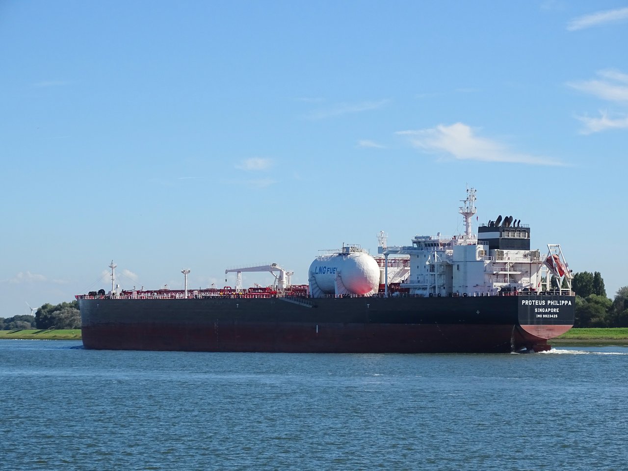 Proteus Philippa, 21 8 2023 — Postimages