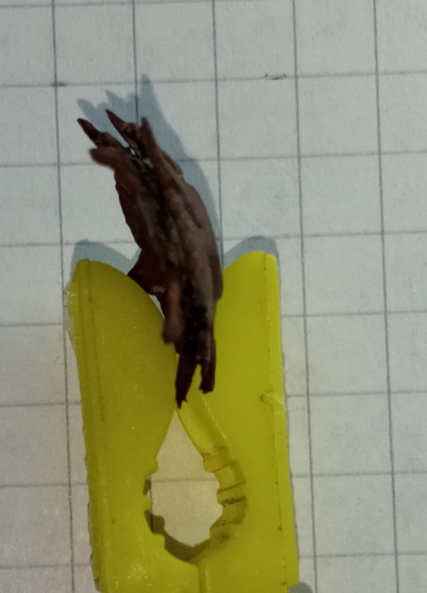 IMG 20230927 090950 — Postimages