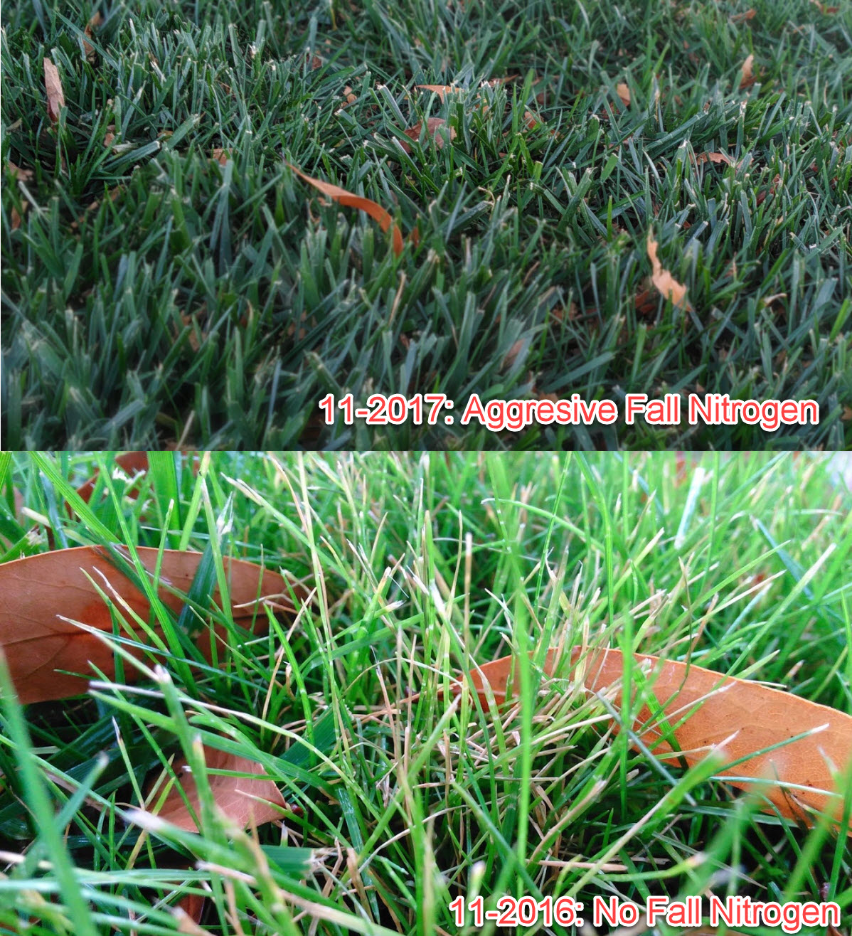 2016 vs 2017 TTTF Comparison — Postimages