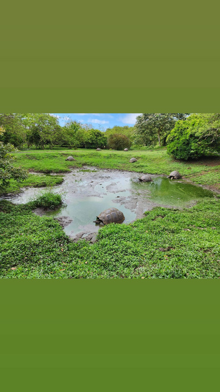 IMG 20221219 000119 337 — Postimages