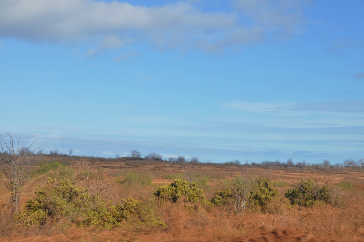 DSC 0898 — Postimages