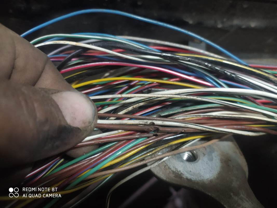 CABLE PELADO — Postimages