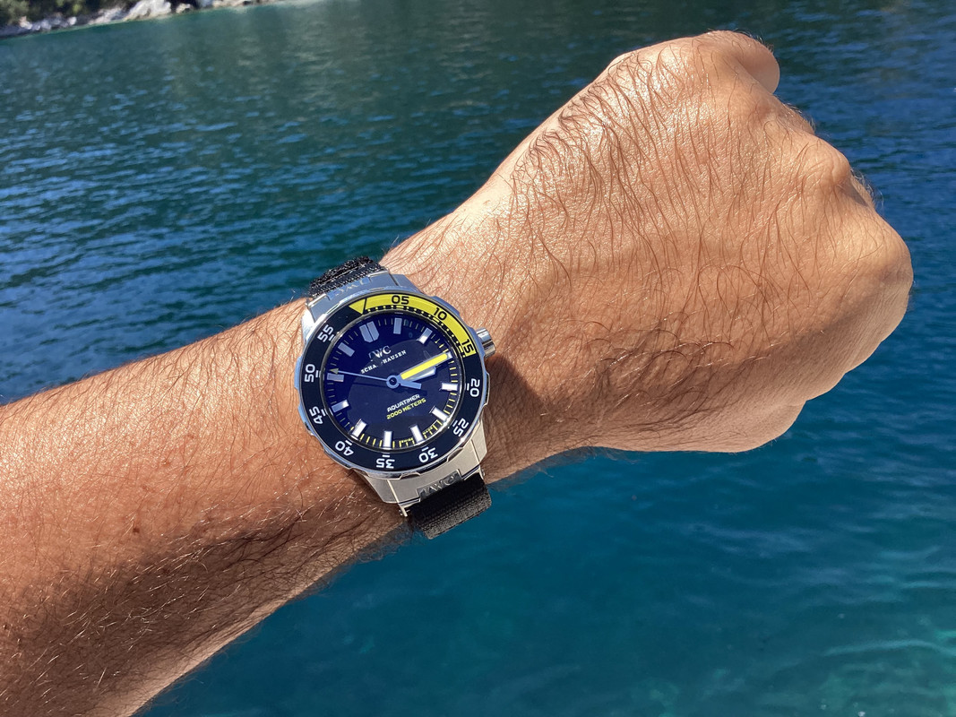 IMG 3100 — Postimages