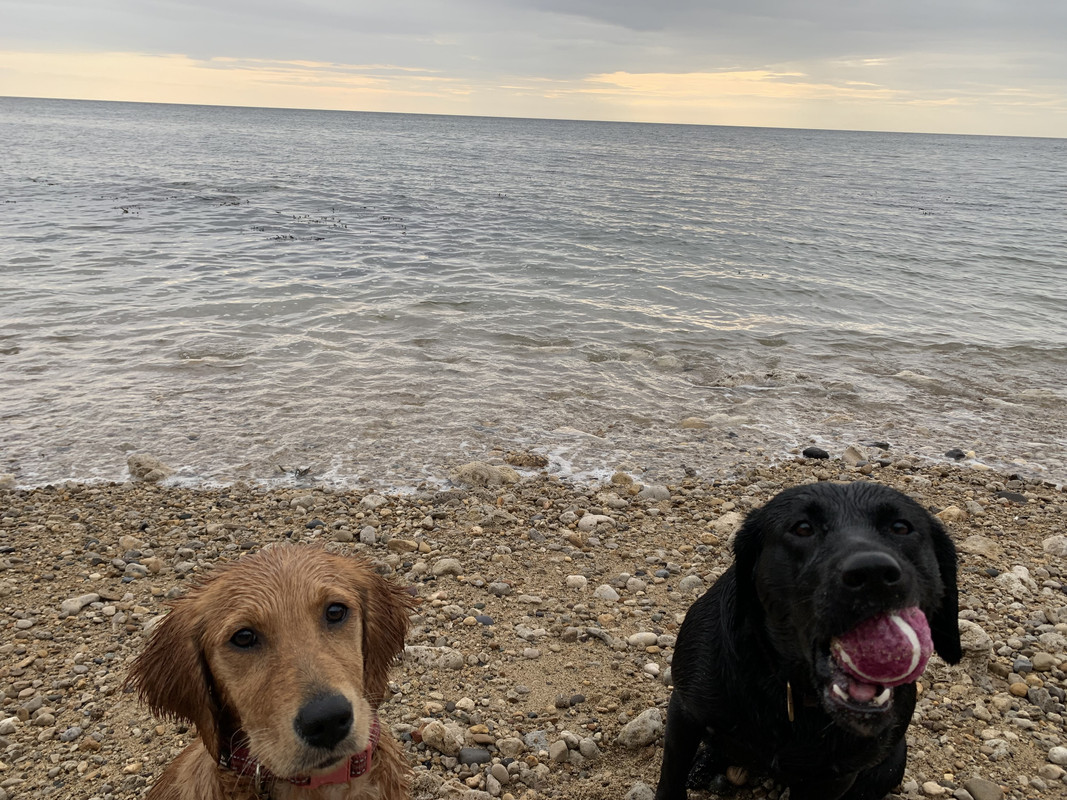 IMG 0487 — Postimages