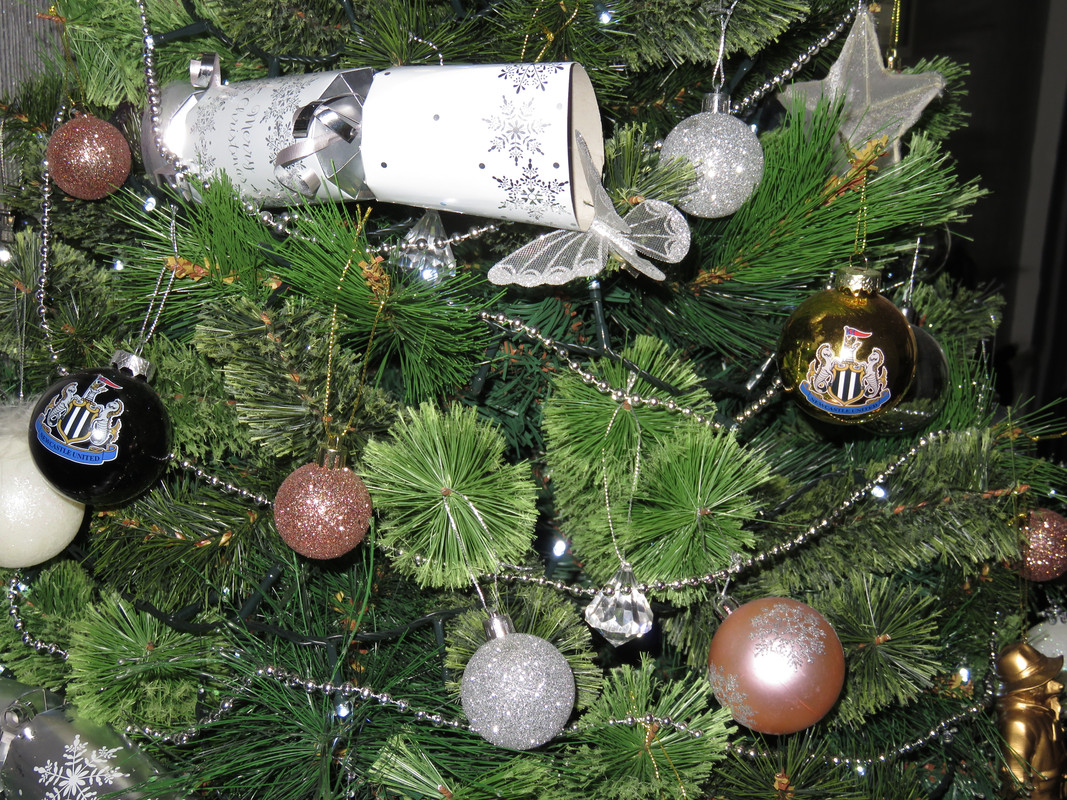 IMG 1249 — Postimages