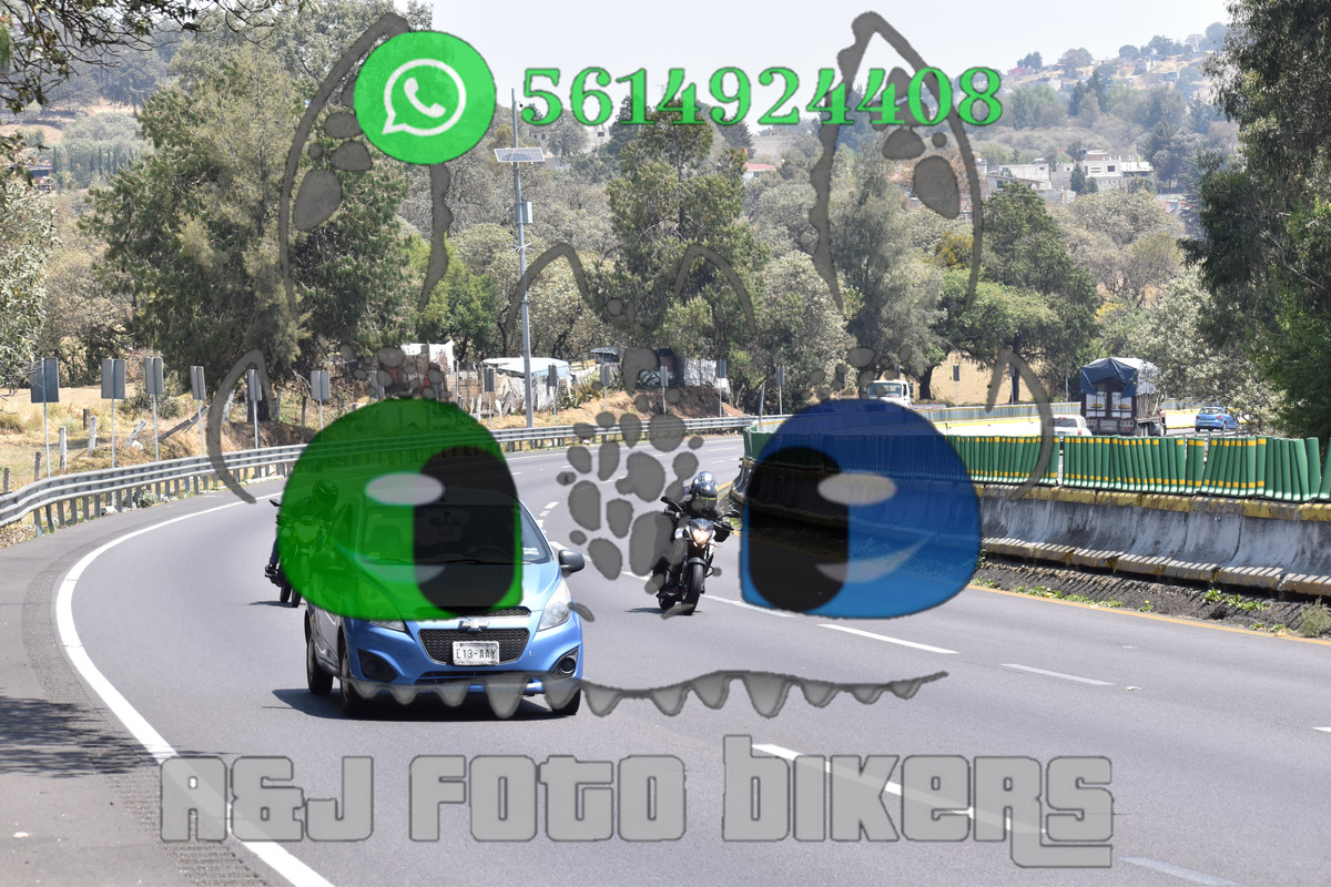 AVQ 1019 — Postimages