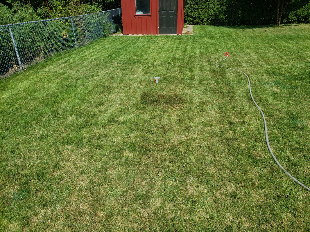 Lawn litter / debris removal | Lawn Care Forum