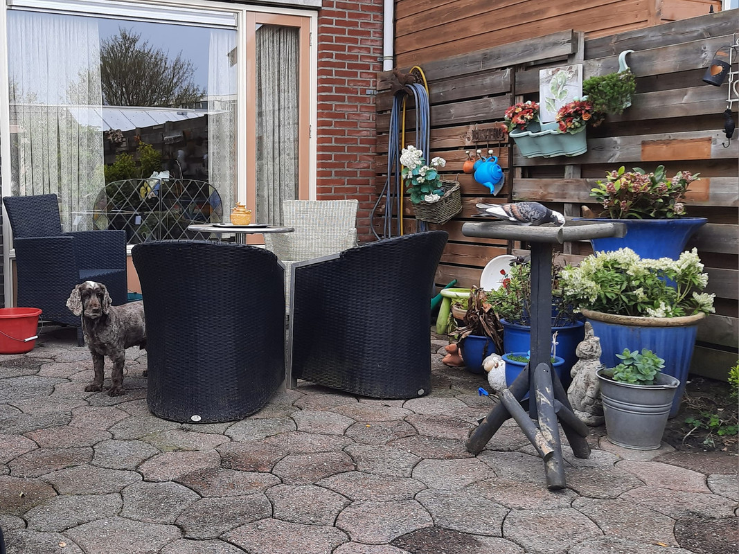 james 284 — Postimages