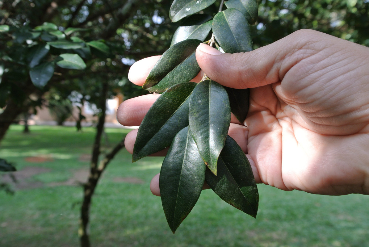 DSC 2002 — Postimages