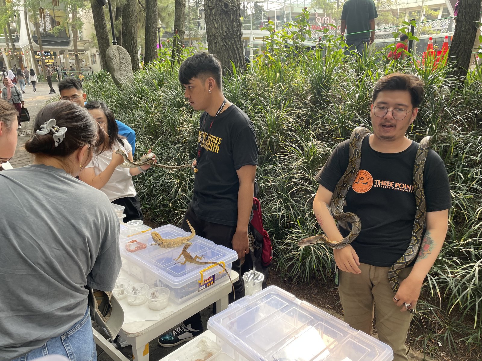 IMG 6962 — Postimages