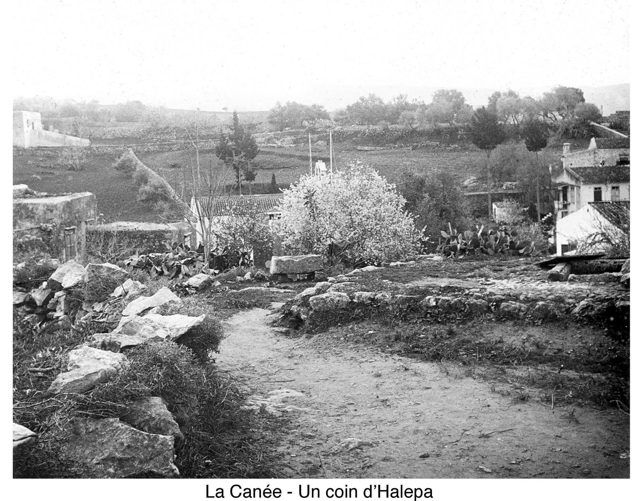 Halepa 1897 1904 — Postimages