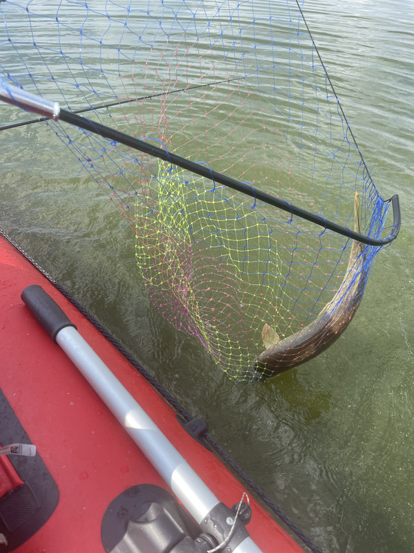 IMG 2431 — Postimages