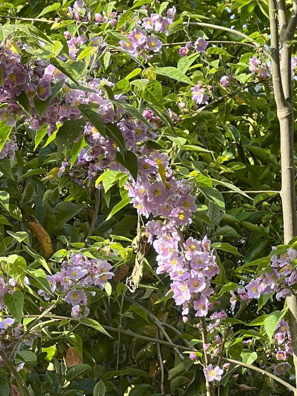 IMG 3329 — Postimages