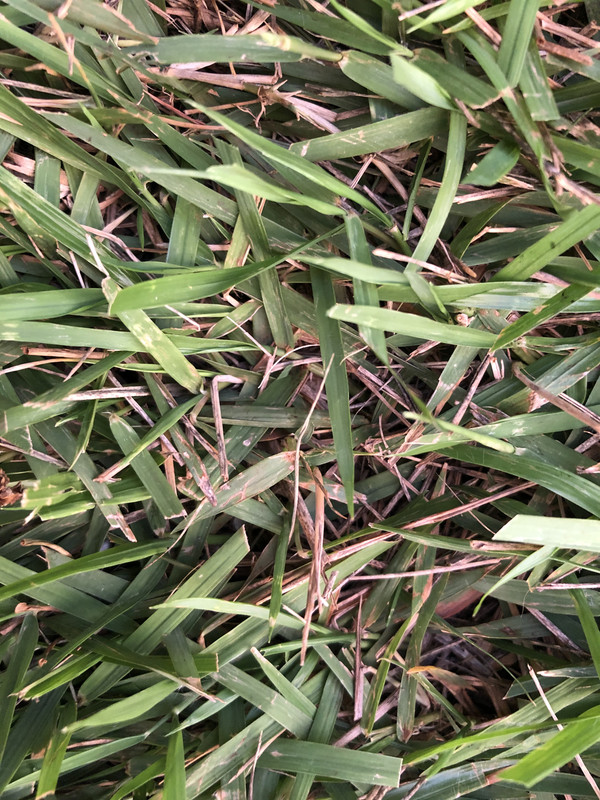 80 AEC6 DD 333 D 4 C4 B 922 D 4 CA2 D6 EB9 C7 A — Postimages