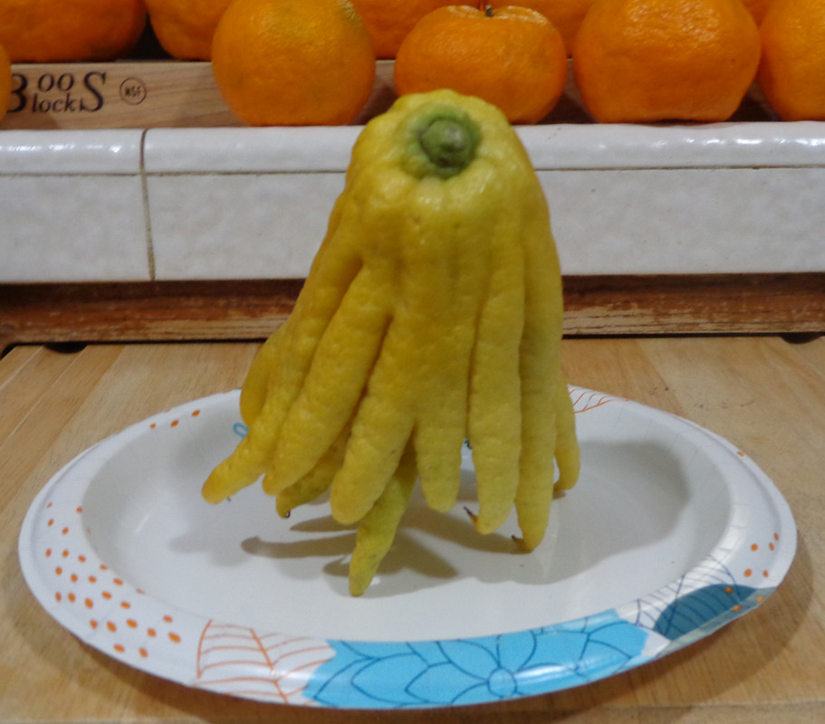 Buddhas Hand pic16 — Postimages