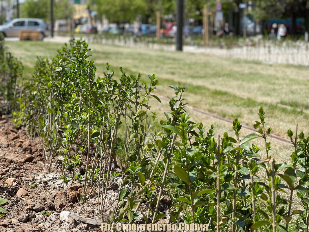 batch IMG 0082 (2) — Postimages