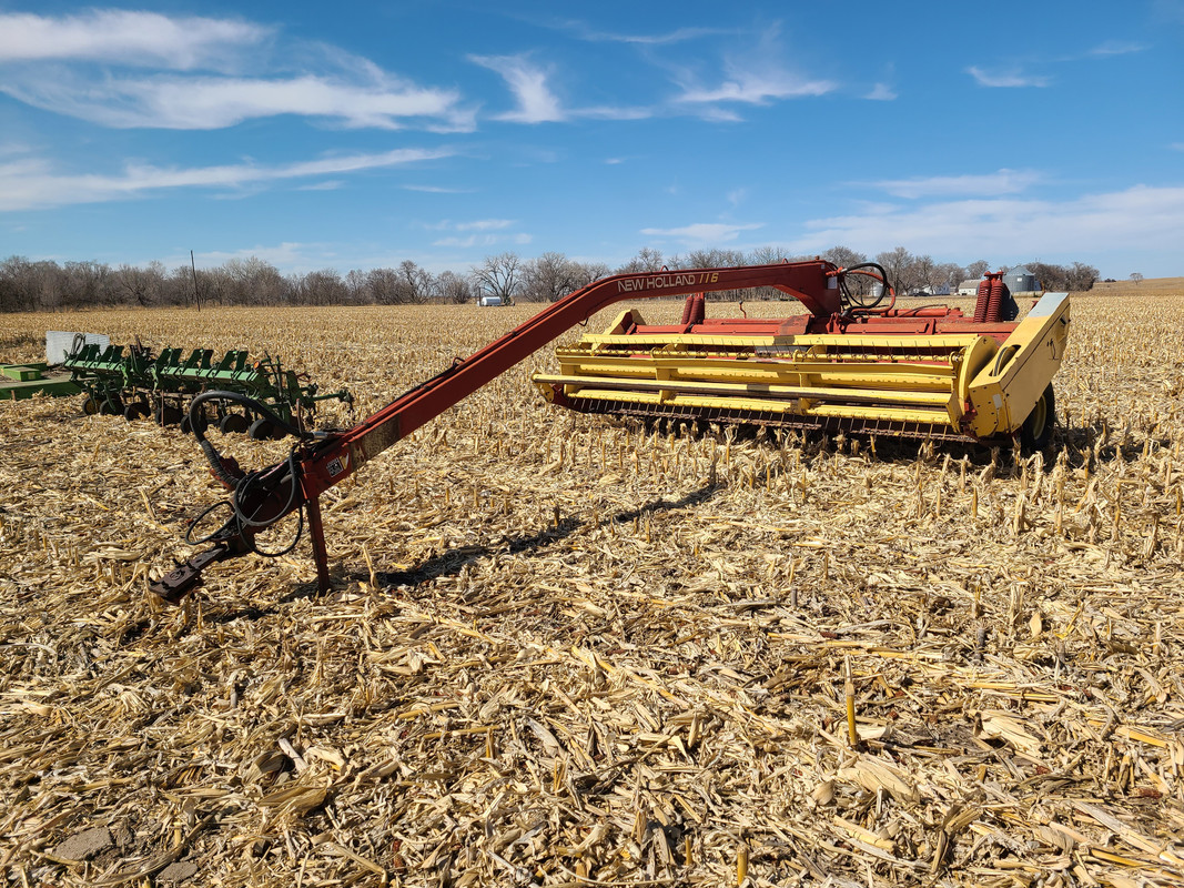 20250311 150356 — Postimages