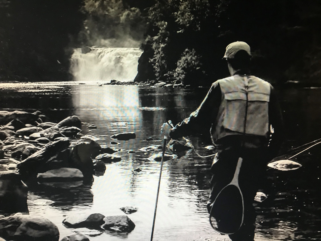 IMG 1583 — Postimages