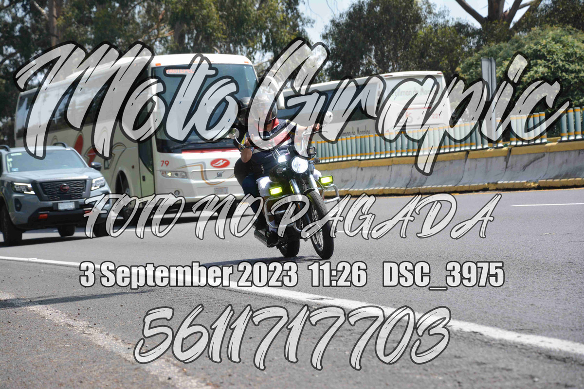 motgr DSC 3975 — Postimages