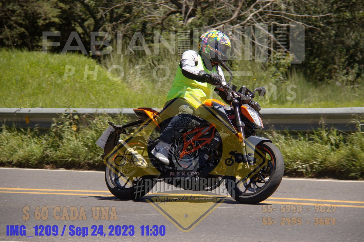 IMG 1209 — Postimages